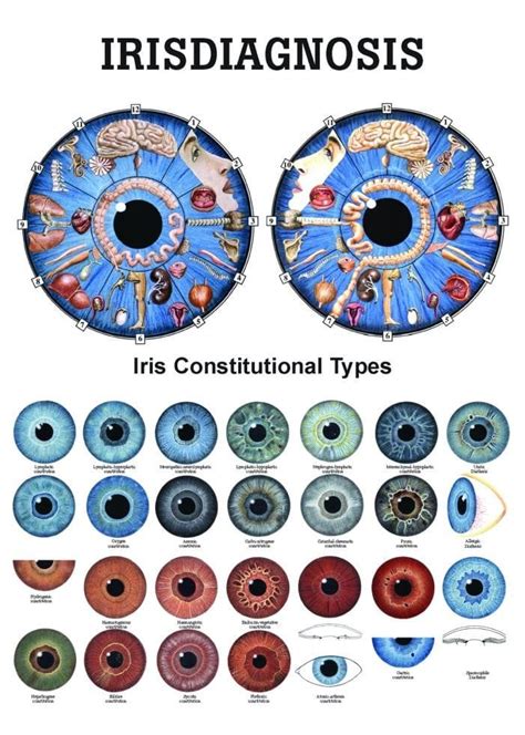 Eye Reflexology Chart 10 Pcs Free Downlaod Maikong Iridology Camera