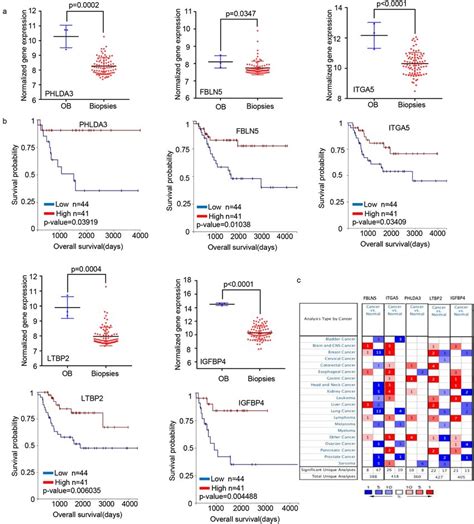 The Mrna Expression Levels Of Five Genes Screened From 23 Valuable
