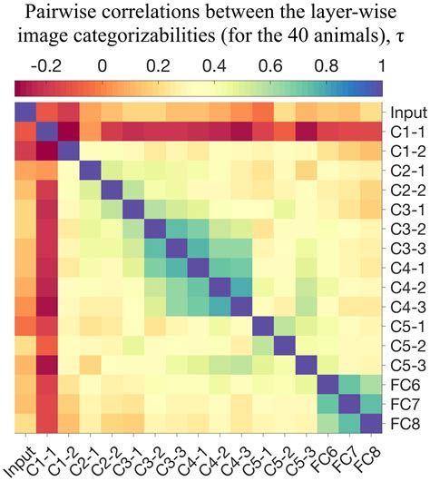 Figures And Data In The Nature Of The Animacy Organization In Human
