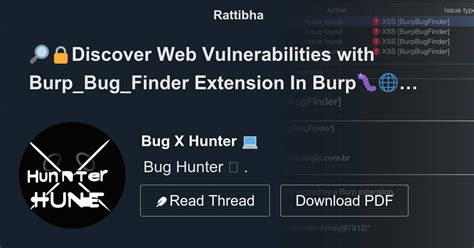 🔎🔒discover Web Vulnerabilities With Burpbugfinder Extension In Burp🐛🌐