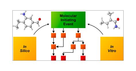 A History Of The Molecular Initiating Event Chemical Research In Toxicology
