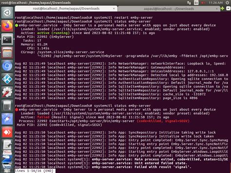 emby server service or exe file is not running linux emby community