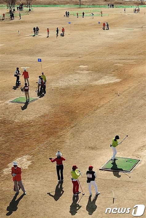 전국 파크골프 동호인 대구에 모였다 네이트 뉴스