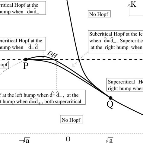 2 The Existence And Criticality Of Hopf Bifurcations In The Bk Plane