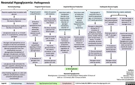 Neonatal Hypoglycemia Pathogenesis Calgary Guide