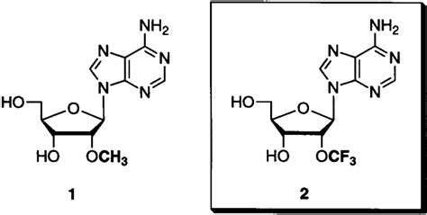 Structures Of Modified Nucleoside Analogs Download Scientific Diagram