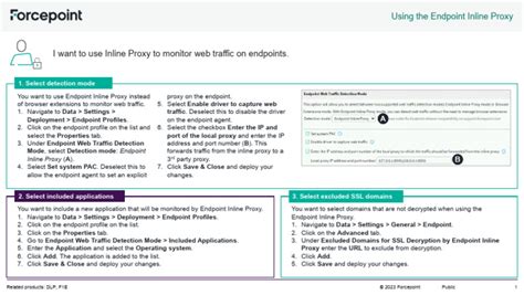 using the endpoint inline proxy pdf proxy server transport layer