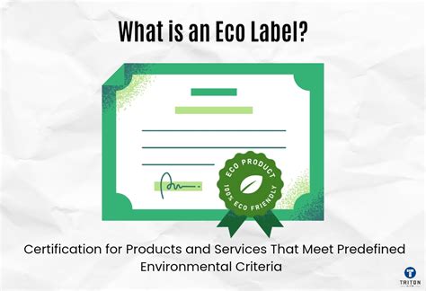 Eco Labels Your Guide To Sustainable Certification Choices