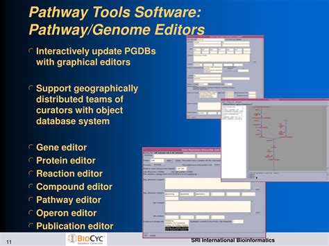 Ppt Pathway Tools Biocyc Fundamentals Powerpoint Presentation Free