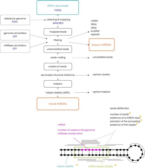 Overview Of Mirkwood Methodology The Workflow Describes The Main Steps