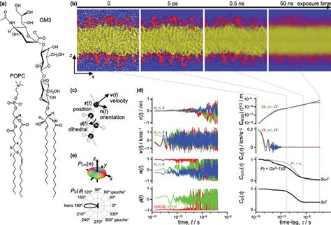 Principles Of 1 H 13 C Polarization Transfer For Dynamics Based Editing