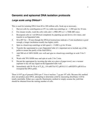 Genomic And Episomal Dna Isolation Protocols