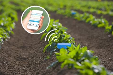 Soil Moisture Sensor Mbed