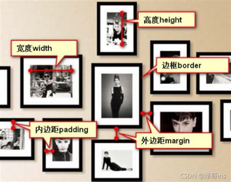 （9）css常用样式 盒子模型css中盒模型 Csdn博客