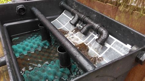 Koi Pond Box Filter Setup And A Murky Pond Artofit