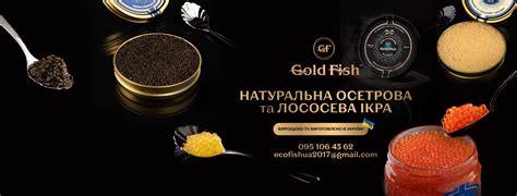 З 1 липня призначення та виплата державних соціальних допомог а також здійснення фінансування