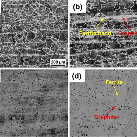 Graphite Analyses Of Base Steel Graphitized At 700 • C For 2 H A Download Scientific