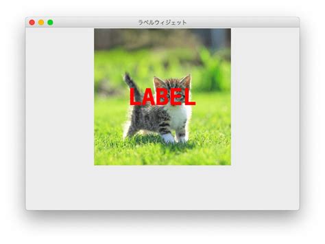 Tkinterの使い方ラベルウィジェットLabelの使い方 だえうホームページ