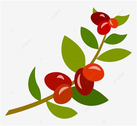 Twigs Vector Hd Png Images Coffee Twig Vector Illustration Design Arabic Tree Png Image For