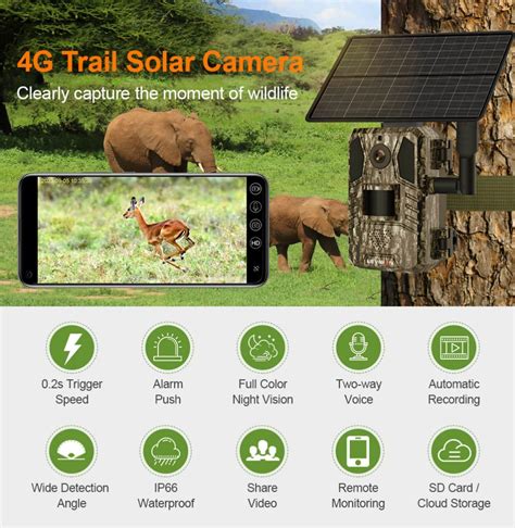 Discover 4g Trail Camera A Revolutionary Wildlife Monitoring Solution