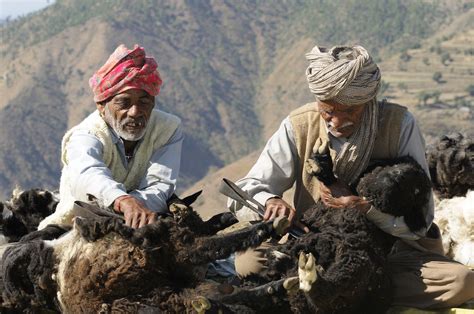 Nomadic Tribes From Around The World That Still Exist