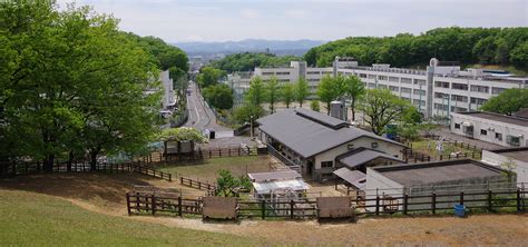 特色 ｜ 東京都立瑞穂農芸高等学校 東京都立学校