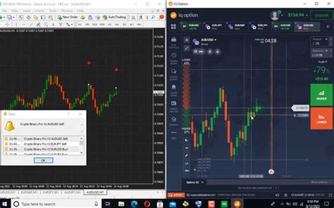 binary options indicators free download