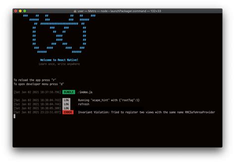 Tried To Register Two Views With The Same Name Rncsafeareaprovider