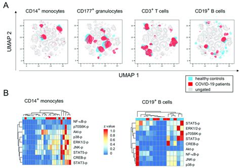 Multidimensional Flow Cytometry And Phosphoprotein Analyses Revealed Download Scientific