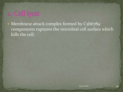 Complement System Ppt