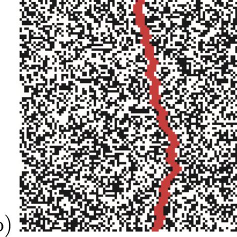 Examples Of Percolation Images From The Three Special Test Sets With