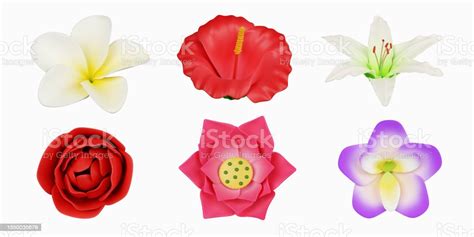 3d 화려한 꽃 세트입니다 아이콘은 흰색 배경에 분리되어 있습니다 3d 렌더링 그림입니다 클리핑 패스 0명에 대한 스톡 사진 및 기타 이미지 Istock