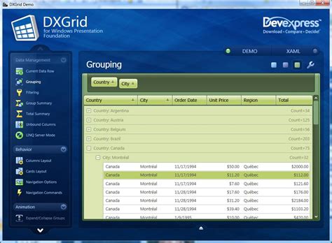 Wpf Data Form Layout Ui Design Devexpress