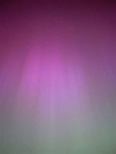 Buglife On Linkedin Buglife Blog Natures Night Lights