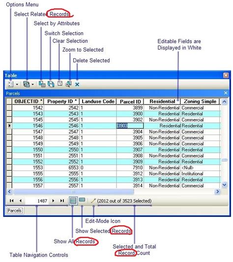 Gis Principle Agreed Upon Name For Rows In An Attribute Table