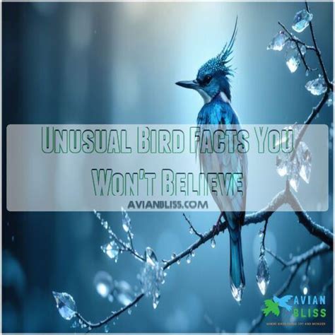 Cool Facts On Bird Vocalization Why Birds Sing And How They Communicate