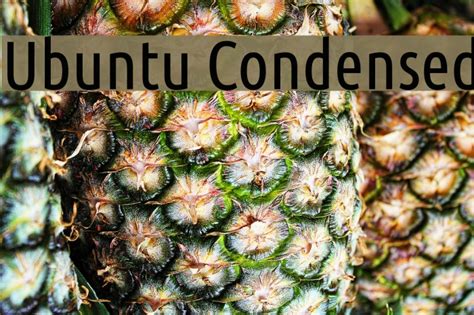 Ubuntu Condensed Font