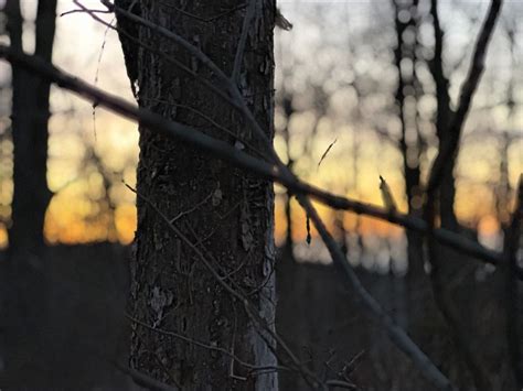 Sean Steele On Linkedin Cybersecurity Informationsecurity Securityindustry Hackers Cisos…