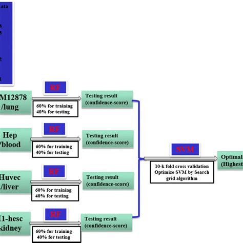 the overview of erfsvm different rf classifiers are made as base
