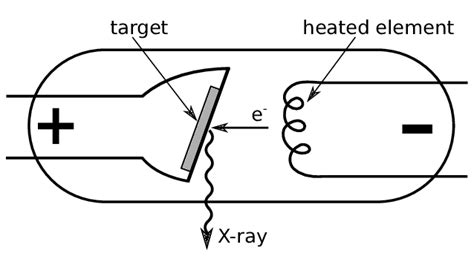 Cathode Vs Anode