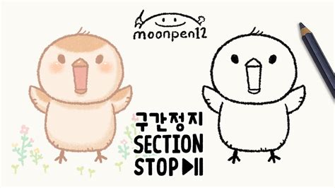 [구간정지 버전] 밥달라는 아기새 그림 그리기 Youtube