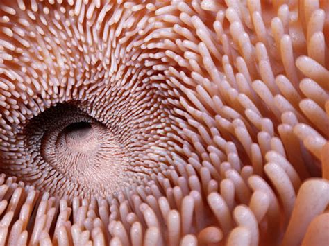 2 258 BEST Villi IMAGES STOCK PHOTOS VECTORS Adobe Stock