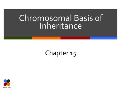 Ppt Chromosomal Basis Of Inheritance Powerpoint Presentation Free