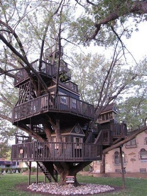 Life In Rehab Treehouse Porn