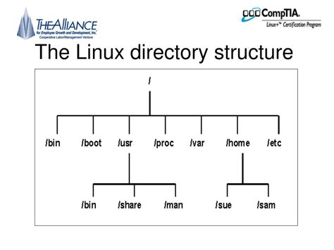 Ppt Unit 3 Exploring Interfaces And Filesystems Powerpoint