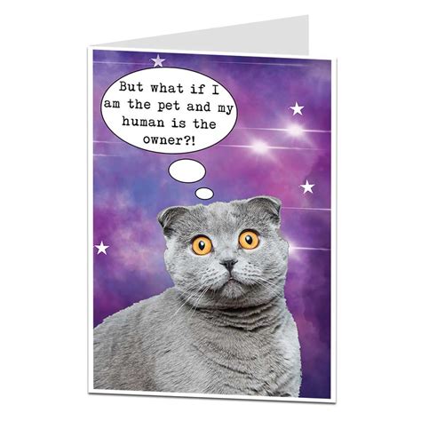 Printable Cat Birthday Card Funny Cats Birthday Card Cat Etsy 9