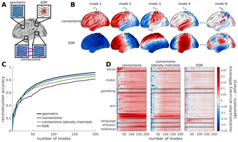 Geometric Eigenmodes Benchmarked Against Connectome Based Eigenmodes