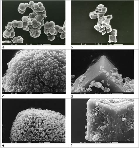 Authigenic Carbonates Geomar