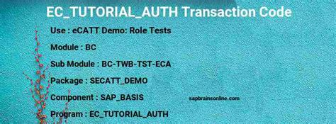 ec tutorial auth sap tcode for ecatt demo role tests