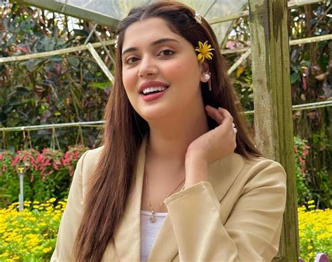 Kanwal Aftab Leak Video Scandal And Controversy Reddit